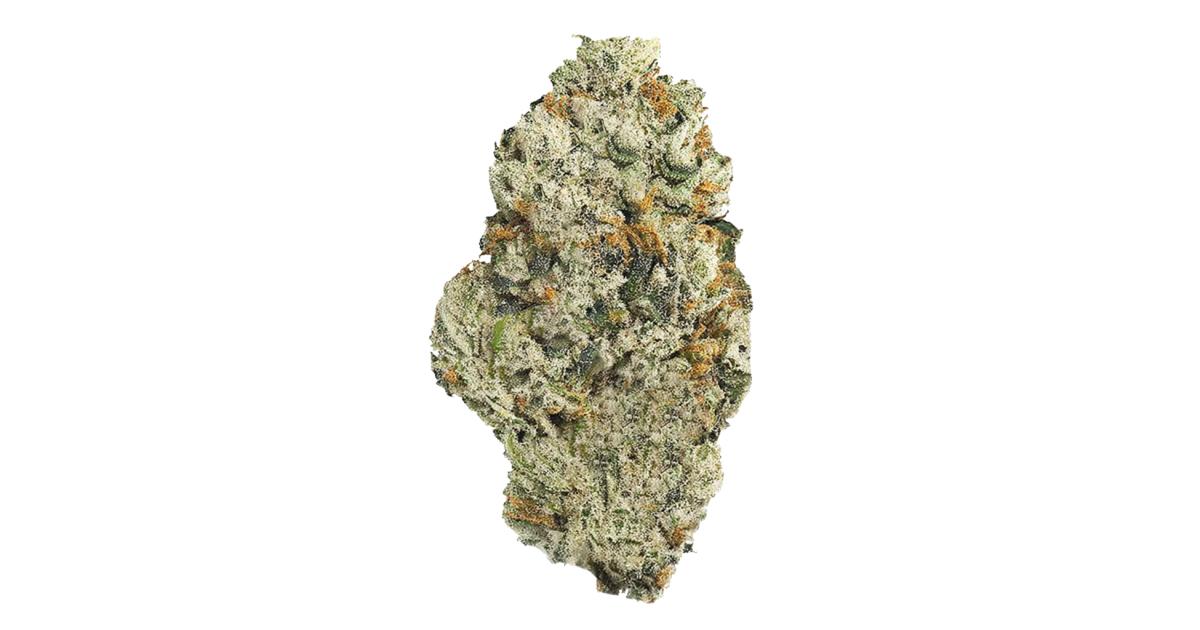 Lazer Gun Cannabis Strain Information - GrowDiaries