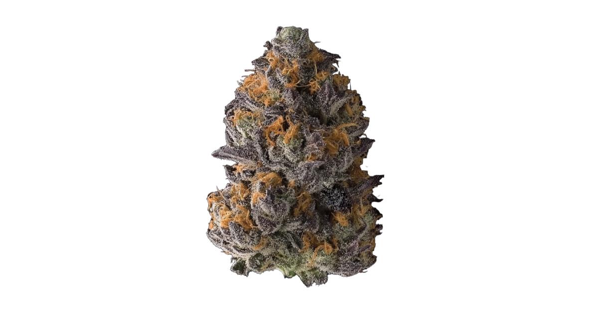Oakland OZK Cannabis Strain Information - GrowDiaries
