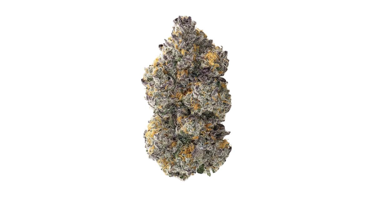 Cosmic Cheddar F1 Cannabis Strain Information - GrowDiaries