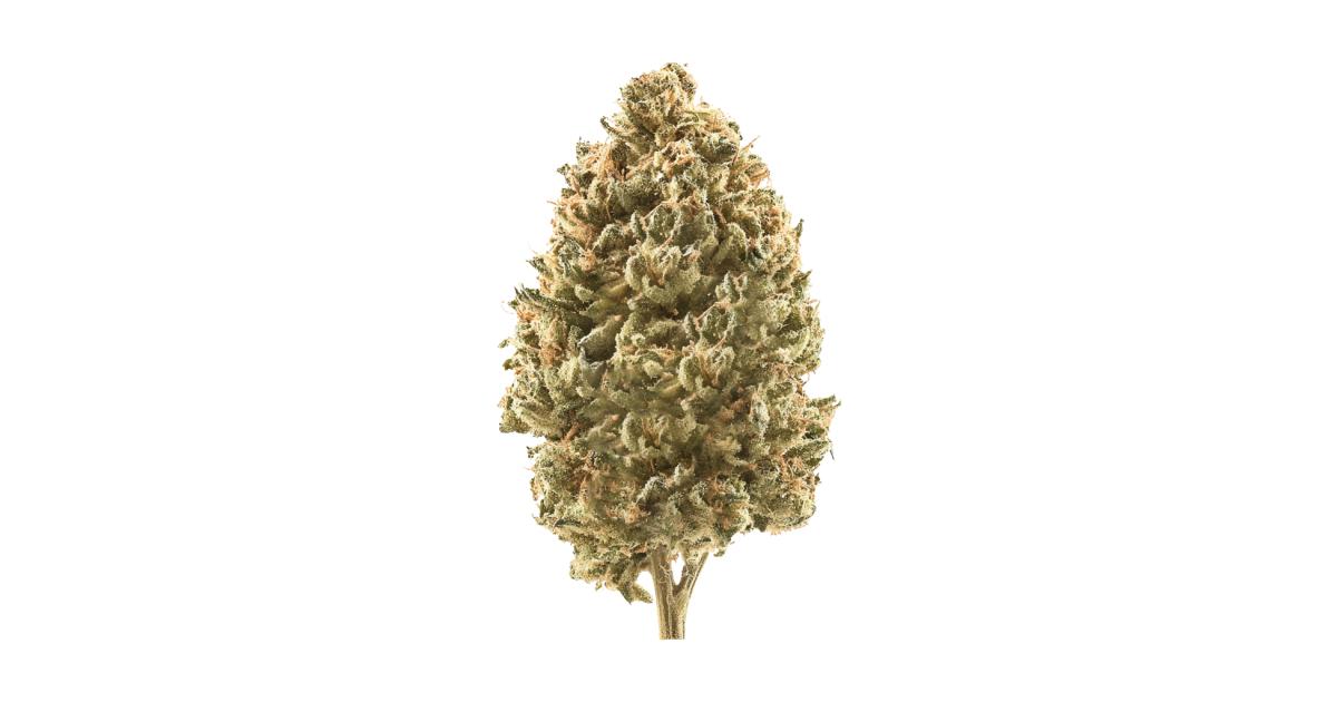 Illuminati Cannabis Strain Information - GrowDiaries