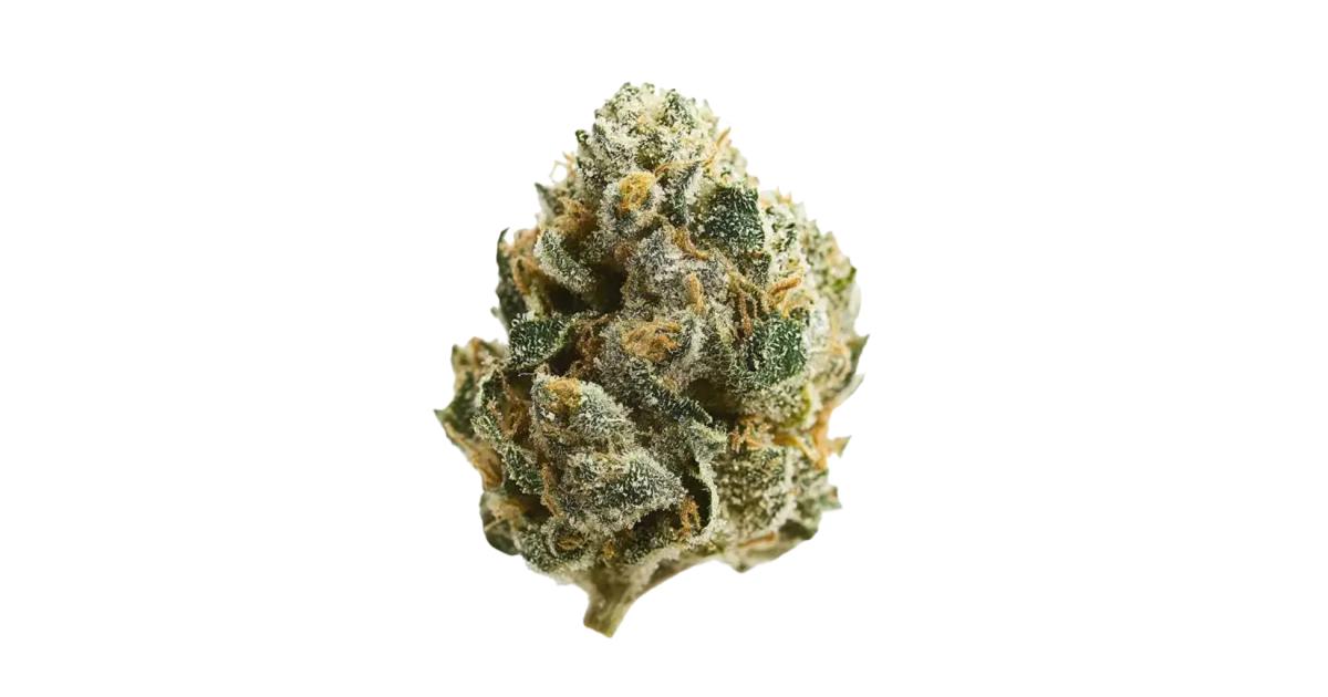 Guava Cannabis Strain Information - GrowDiaries