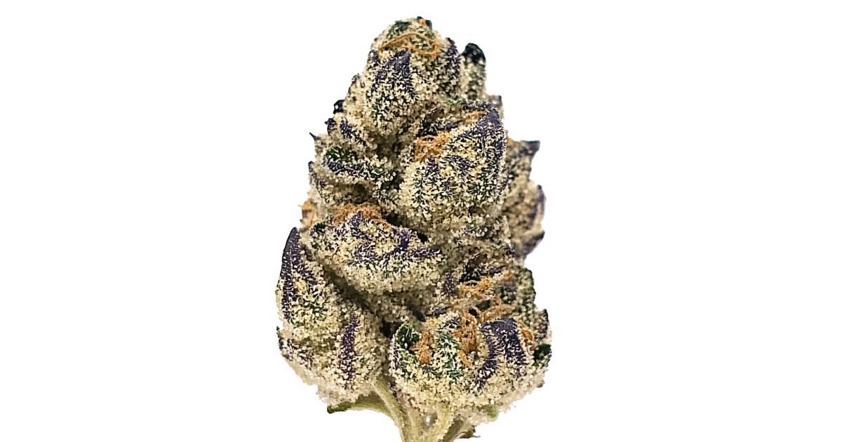 Black Magic Kush Cannabis Strain Information - GrowDiaries