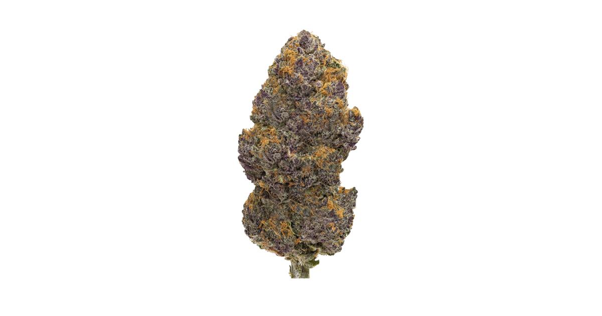 Black Cherry Gelato by BackpackBoyz Cannabis Strain Infor...