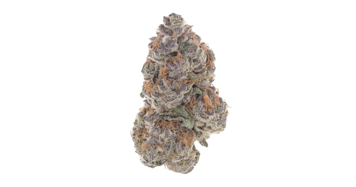 Four Directions Cannabis Strain Information - GrowDiaries