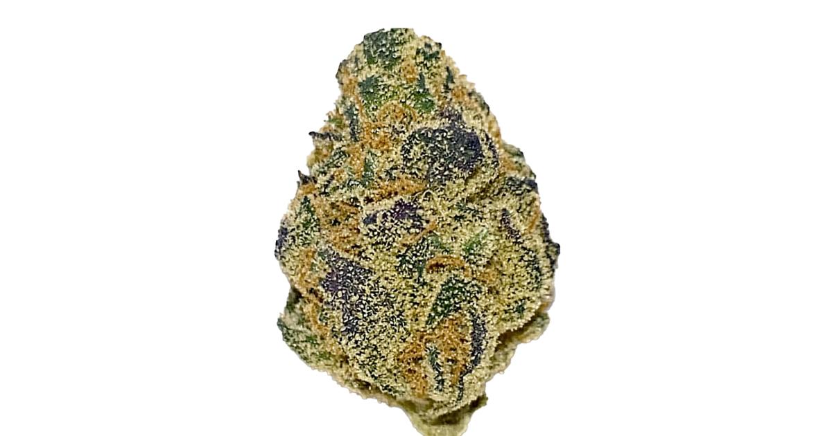 Bitter Orange Cannabis Strain Information - GrowDiaries