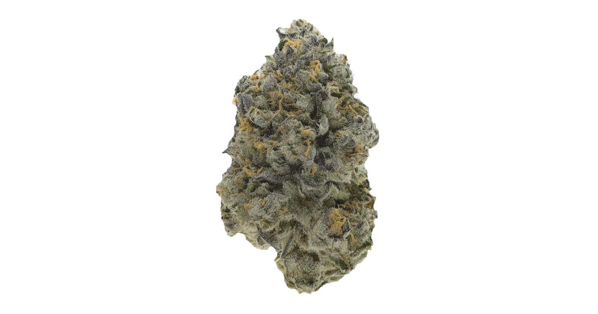Blueberry Larry Cannabis Strain Information - GrowDiaries