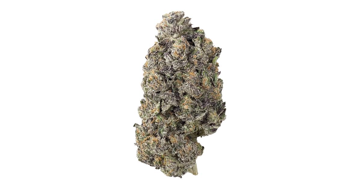Forbidden Rice Cannabis Strain Information - GrowDiaries